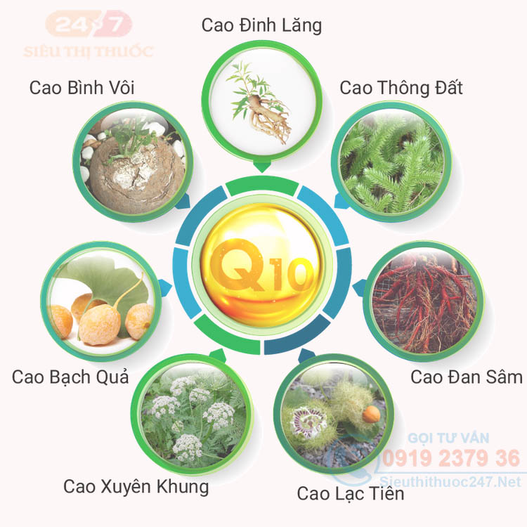 Trí Não Đơn Hoa Sao - Viên Uống Hỗ Trợ Hoạt Huyết, Phòng Ngừa Tai Biến ...